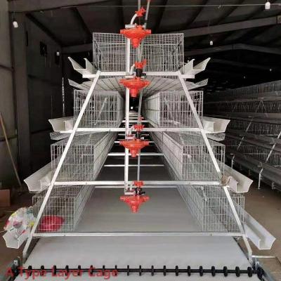 China Custom Multi Tier A Type Layer Cage Strong Structural Poultry Living Egg Layer Cages for sale