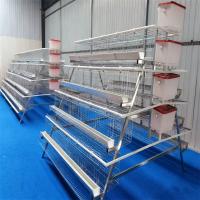 China Layer Chicken Cage Egg Chicken Cage Poultry A Type Cage For Poultry Layer for sale