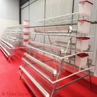 China Layer Chicken Cage Egg Chicken Cage Poultry A Type Cage For Poultry Layer for sale