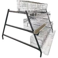 China Layer Chicken Cage Egg Chicken Cage Poultry A Type Cage For Poultry Layer for sale