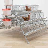 China Galvanized Steel Chicken Coop Ladder Cage System for Layer and Broiler for sale