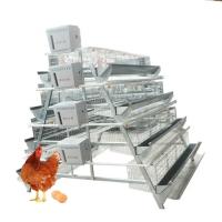 China Q235 Steel Battery Poultry Farm Layer Cage 3 Tiers 4 Tiers A Type Chicken Cage System for sale