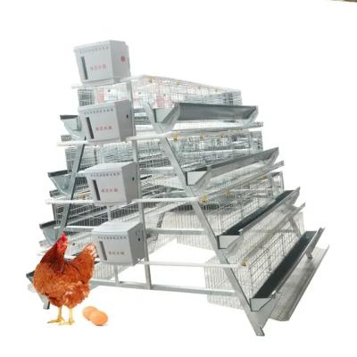 China Q235 Steel Battery Poultry Farm Layer Cage 3 Tiers 4 Tiers A Type Chicken Cage System for sale