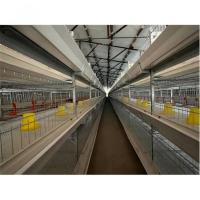 China Automatic Poultry Farm Equipment H Shaped Broiler Cage System For Efficient Farming for sale