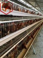 China Heavy Duty A Type Layer Cage Space Utilization Steel Frame Battery Layer Cage for sale