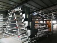 China Heavy Duty A Type Layer Cage Space Utilization Steel Frame Battery Layer Cage for sale
