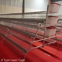 China Customized Size Poultry Chicken Layer Cages Eco Friendly For Sustainable Farming for sale