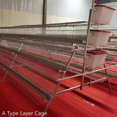 China Customized Size Poultry Chicken Layer Cages Eco Friendly For Sustainable Farming for sale