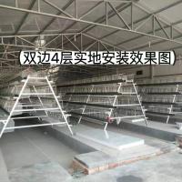 China Poultry Farming Hot Dipped Galvanized Layer Cage A Type With Feeding Drinking System for sale