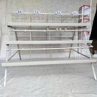 China Poultry Farming Hot Dipped Galvanized Layer Cage A Type With Feeding Drinking System for sale