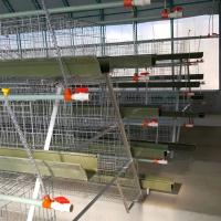 China Poultry Farm Chicken Coop House A Type Hot Dipped Galvanized Layer Cage for sale