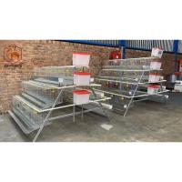 China Poultry Farm Chicken Coop House A Type Hot Dipped Galvanized Layer Cage for sale