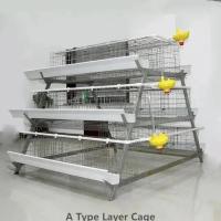 China Heavy Duty Galvanized Automated Layer Cages Egg Chicken Cage A Style Custom Size for sale