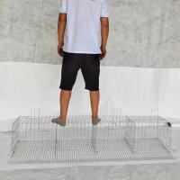 China A Frame Multi Level Layer Cage System Galvanized Steel Livestock Cage Farming Solutions for sale