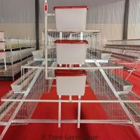 China Poultry Equipment Automatic Egg Chicken Cage Battery Layer Chicken Cage A Type for sale