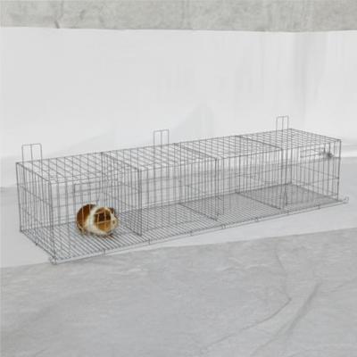 China Automatic Cheap Price Poultry Farming Equipment Layer Chicken Cage for Sale for sale