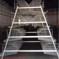 China 3-4 Tier A Type Layer Cage System Hot Galvanized Steel Cage For Layers Chickens for sale