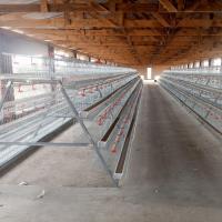 China 3-4 Tier A Type Layer Cage System Hot Galvanized Steel Cage For Layers Chickens for sale