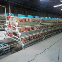 China 3-4 Tier A Type Layer Cage System Hot Galvanized Steel Cage For Layers Chickens for sale