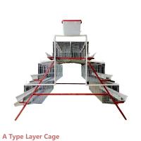 China Layer Chicken Cage System A Type Long Lifespan Excellent Ventilation For Poultry for sale