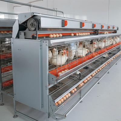 China Hot Dipped Galvanized Poultry Layer Cage System H Frame 180 240 300 360 Birds/Unit for sale