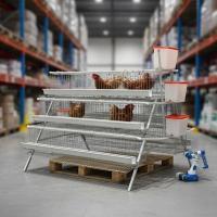 China Husbandry Machinery Equipment Layer Chicken Cage Egg Chicken Cage for Poultry Farming for sale