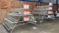China Customized Color Layer Cage System A Type Chicken Layer Battery Cage Long Lifespan for sale