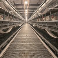 China Galvanized Steel Automatic Layer Cage A Frame 3 To 12 Tiers For Hens Easy Installation for sale