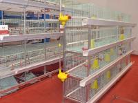 China Customizable Size A Type Layer Cage 3-8 Tiers Layer Chicken Cage Stepped Design for sale