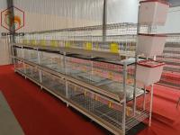 China Multi Tier Design Layer Cage System Galvanized Layer Chicken Battery Cage Customizable for sale