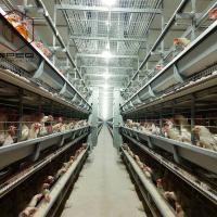 China High Capacity Chicken Layer Cage Hot Dipped Galvanized H Type Poultry Cage for sale