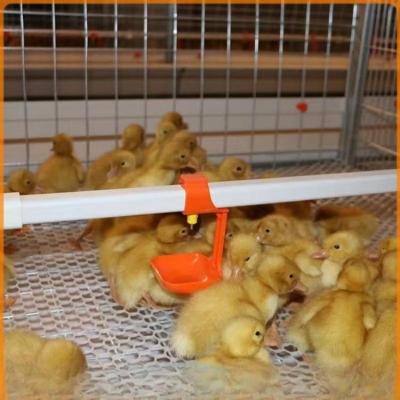 China Corrosion Resistant Automatic Poultry Feeding Equipment PP Construction Pan Feeder for sale