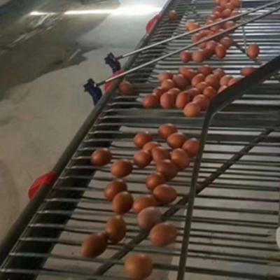 China H Type Layer Cage System High Space Utilization Chicken Laying Cage For Farming for sale