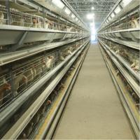 China H Type Layer Cage System High Space Utilization Chicken Laying Cage For Farming for sale
