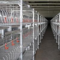 China H Type Layer Cage System High Space Utilization Chicken Laying Cage For Farming for sale