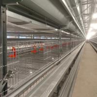 China Labor Saving Poultry Layer Cage H Type Battery Cage System With Automatic Egg Collection for sale