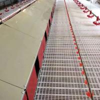 China Plastic Automatic Poultry Slatted Floor White Color For Broiler Chicken Farms for sale