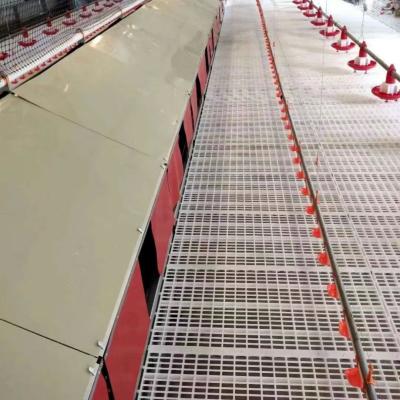 China Plastic Automatic Poultry Slatted Floor White Color For Broiler Chicken Farms for sale