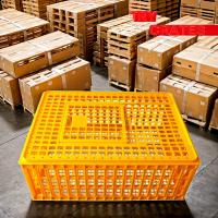 China Stackable Design Poultry Transport Crate Impact Resistance Chicken Carrying Crates for sale