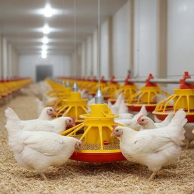 China Poultry Farm Chicken Equipment Feeder Drinker Ventilation Fan for Broiler for sale