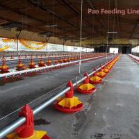 China Poultry Farming Equipment Automatic Pan Feeding System for Broiler / Layer Chicken for sale
