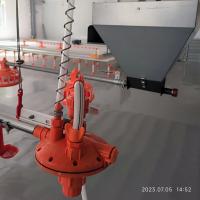 China Poultry Farming Equipment Automatic Pan Feeding System for Broiler / Layer Chicken for sale