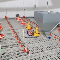 China Smart Poultry Farm Equipment Automatic Chicken Farming Floor System Customized for sale