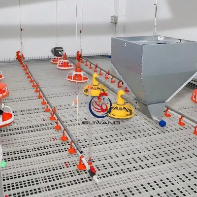 China Smart Poultry Farm Equipment Automatic Chicken Farming Floor System Customized for sale