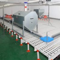 China Smart Poultry Farm Equipment Automatic Chicken Farming Floor System Customized for sale