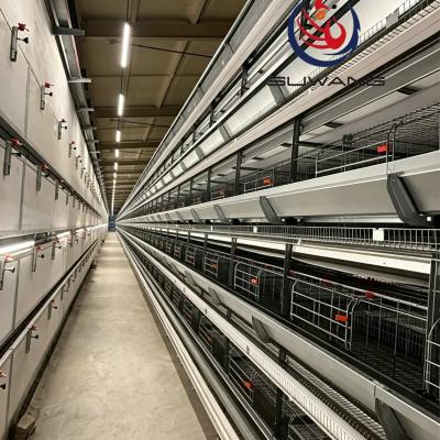 China Galvanized Frame Egg Collection Cage H Type Chicken Cage For Poultry Farms for sale