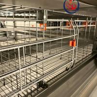 China Galvanized Frame Egg Collection Cage H Type Chicken Cage For Poultry Farms for sale