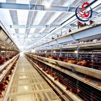 China Galvanized Steel H Type Egg Chicken Cage Customizable Tiers For Poultry Farming for sale