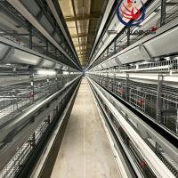 China Galvanized Steel H Type Egg Chicken Cage Customizable Tiers For Poultry Farming for sale