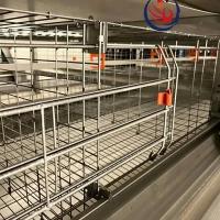 China Hot Dipped Galvanized H Type Layer Cage 3-10 Tiers with Automatic Egg Collection for sale
